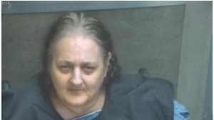 2024 Busted Newspaper Amherst County VA Mugshots - Busted Newspaper VA